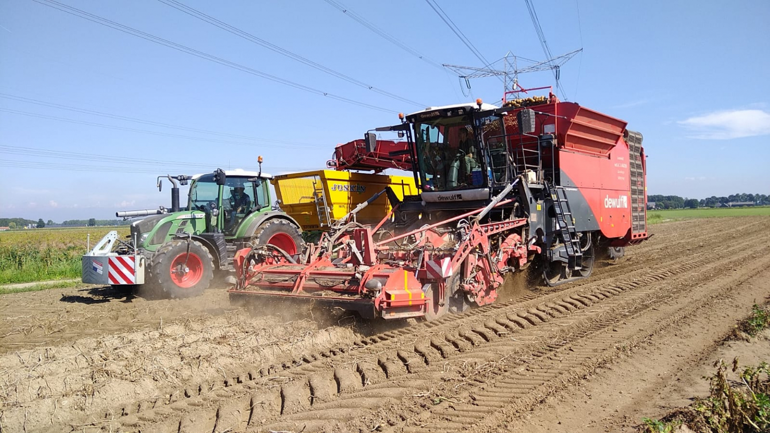 Eerste aardappelen van het seizoen geoogst – Schrauwen Landbouw